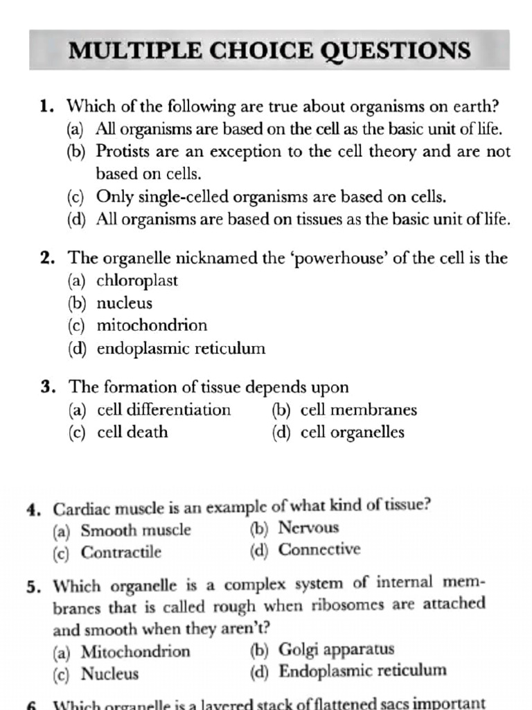 Cell Structure and Functions MCQ's | PDF | Cell (Biology) | Meiosis