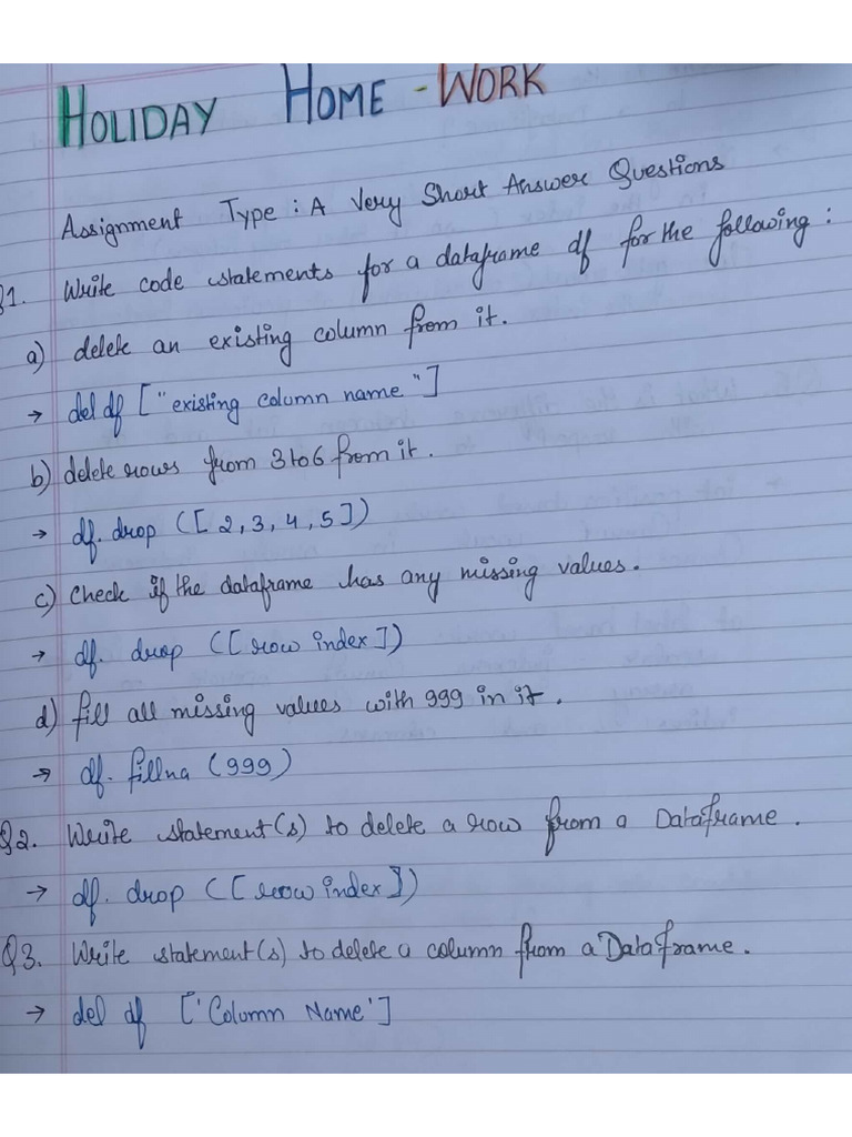 IP Holiday Homework | PDF