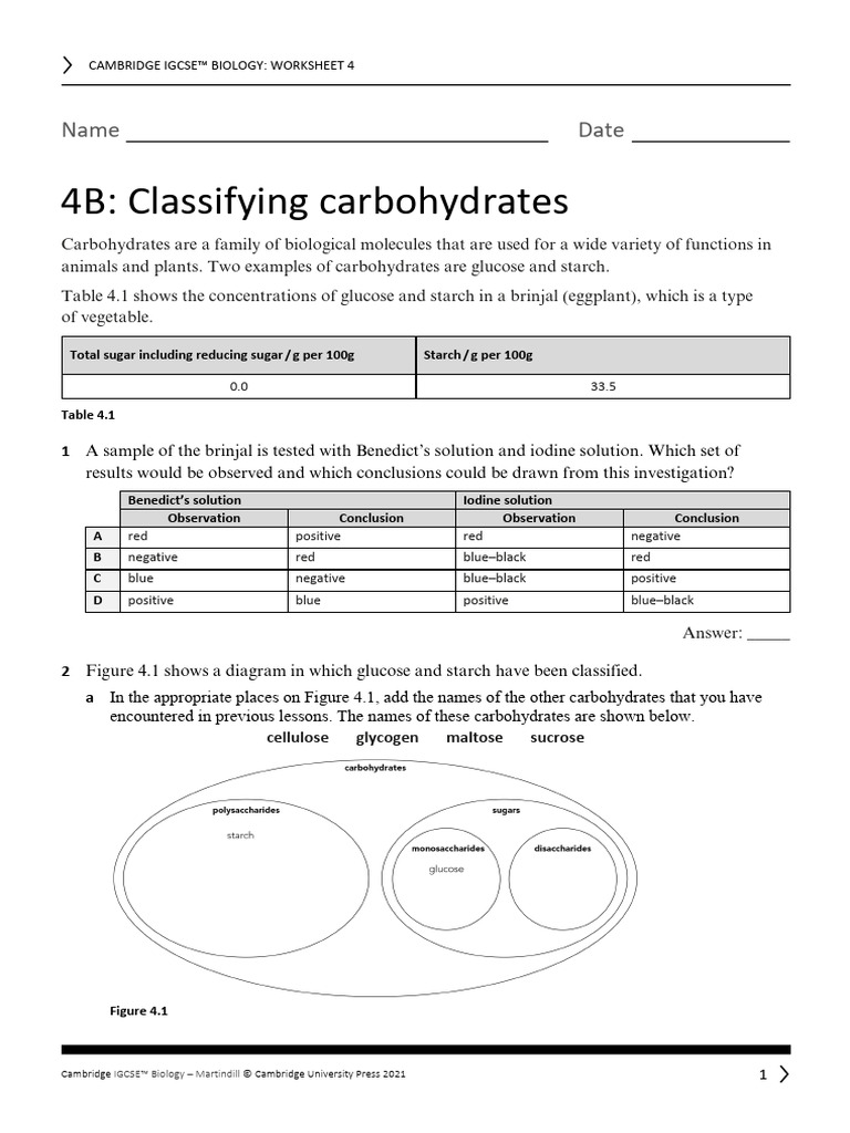 Igcse Biology 4ed TR Ws 4b | PDF | Carbohydrates | Starch