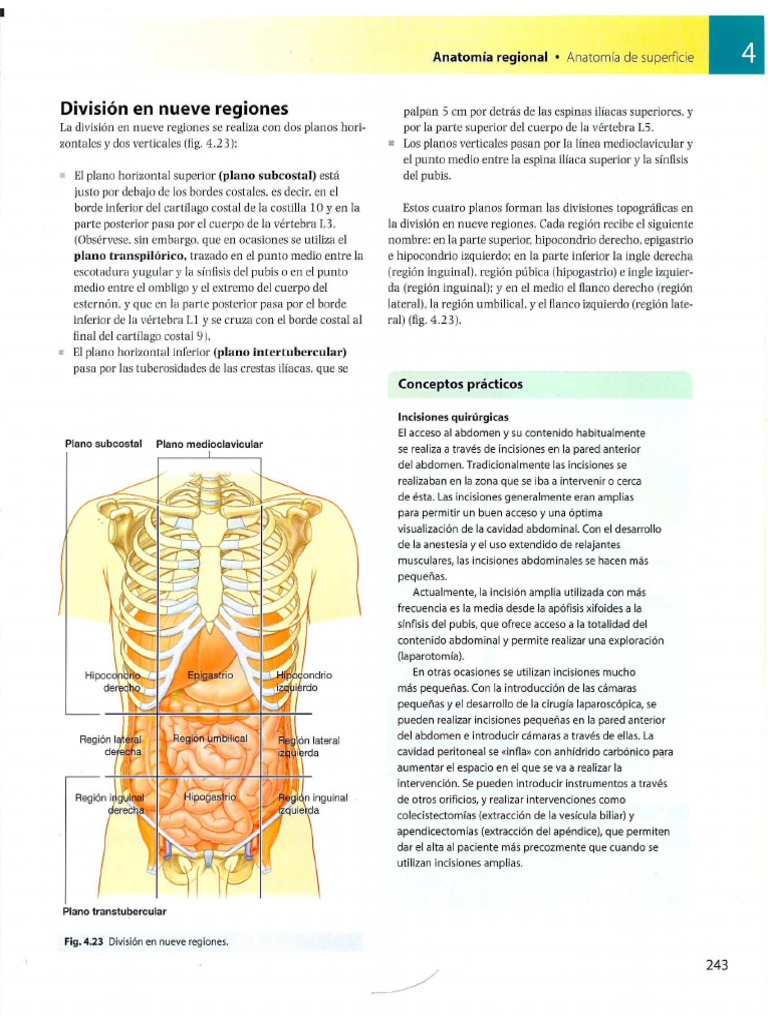 267,375-376 Reg Abd | PDF