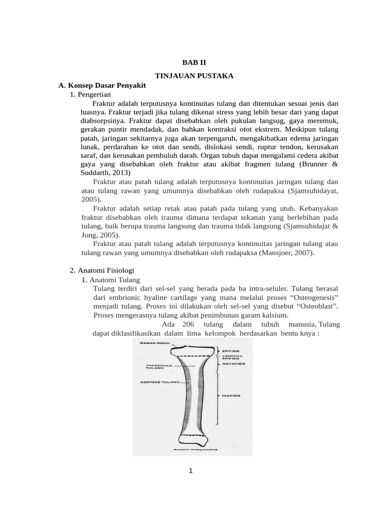 Fraktur Tibia | PDF