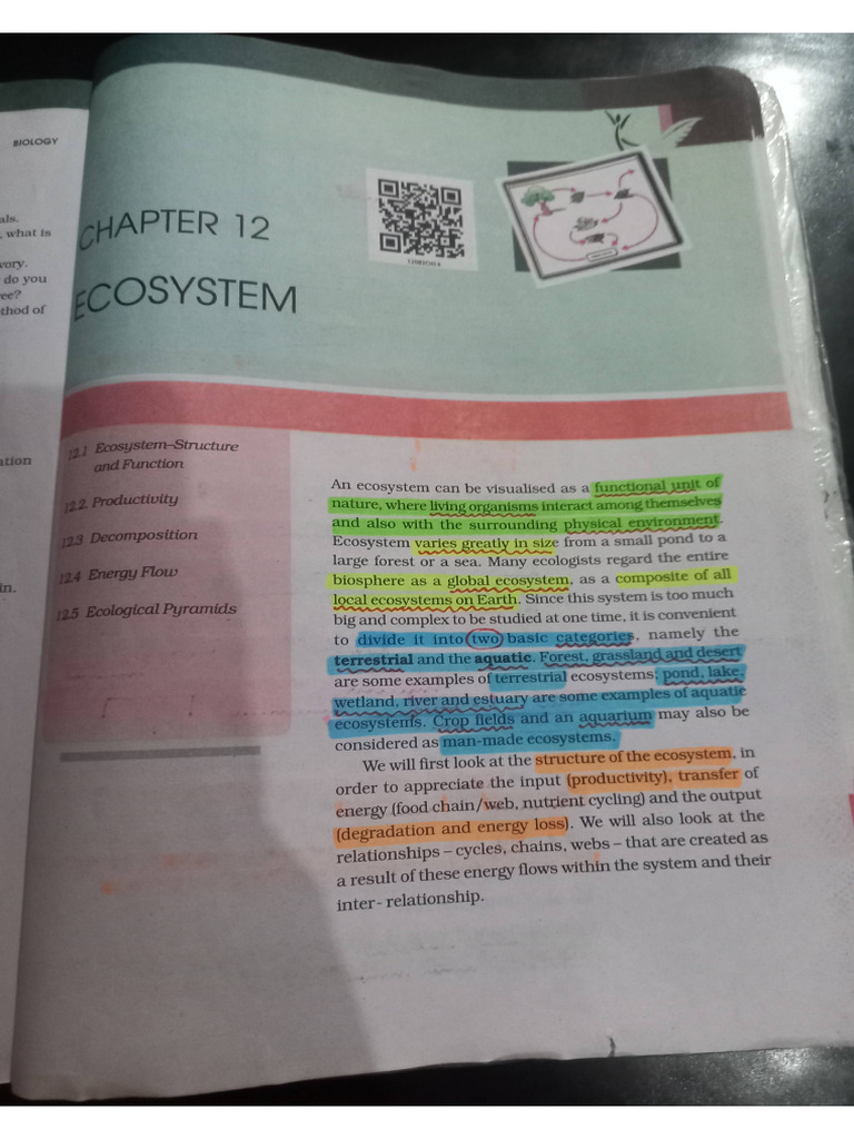 ECOSYSTEM@garima | PDF