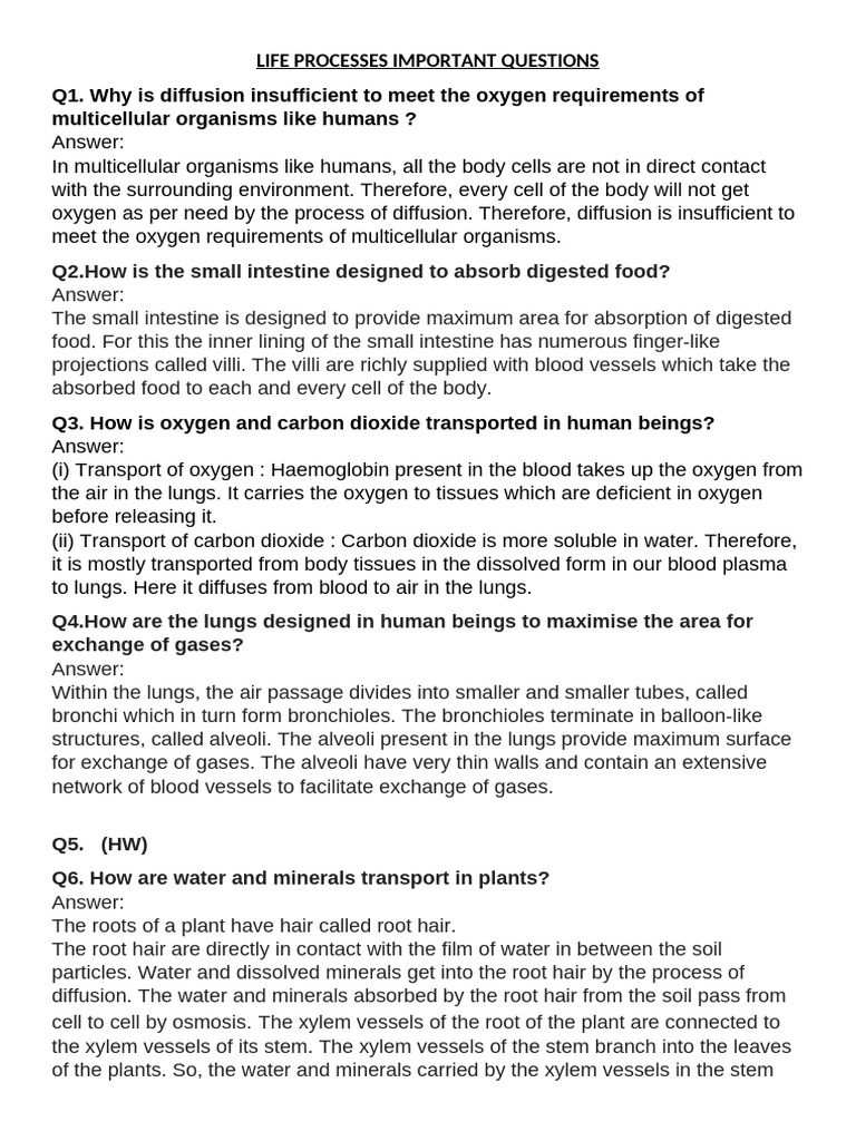 Life Processes Questions D 8 Xi y Biely | PDF | Lung | Plant Stem