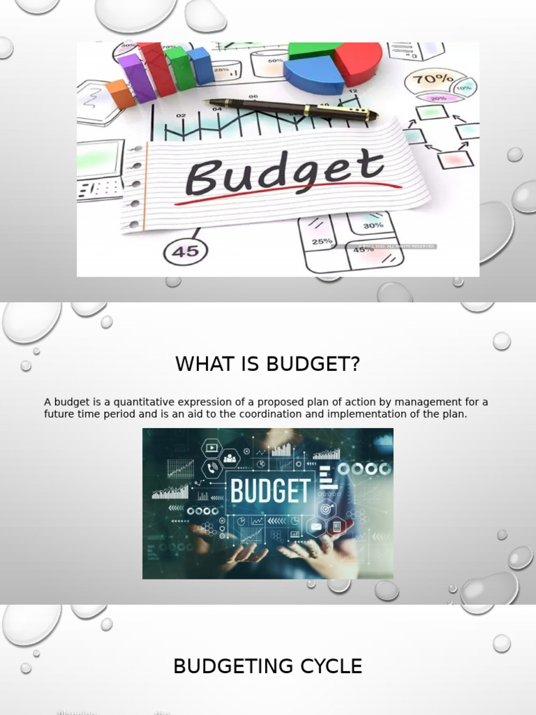 Lecture 2 - Budgetary Accounting | PDF | Budget | Business