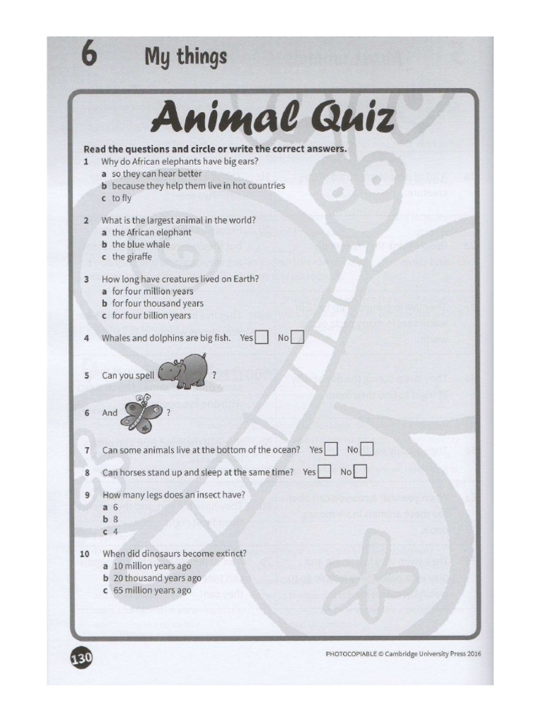 E - Animal Quiz Worksheet | PDF