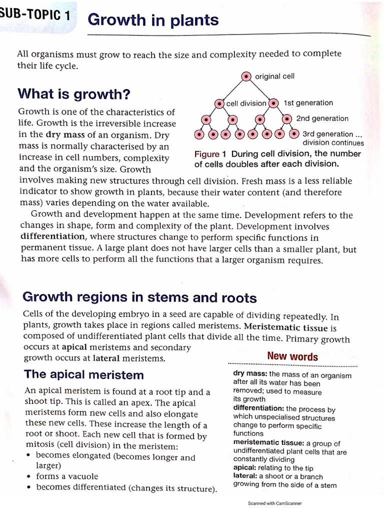 Bio - Growth Notes | PDF