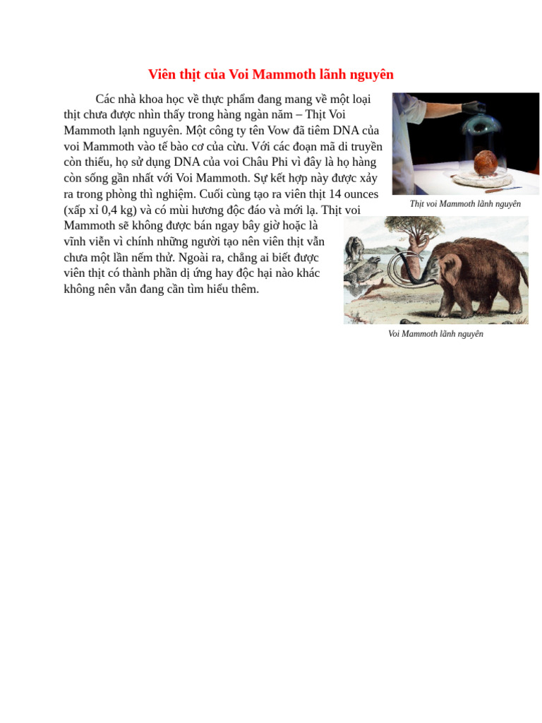 Viên Thịt Của Voi Mammoth Lãnh Nguyên | PDF