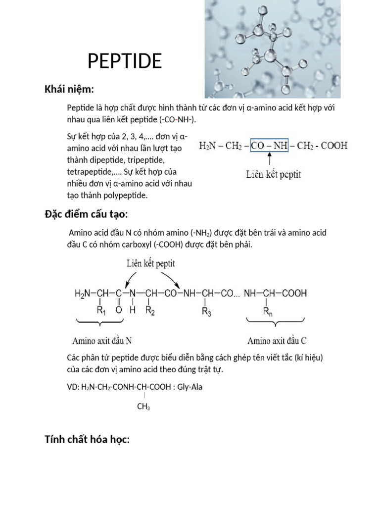 Peptide 1 | PDF