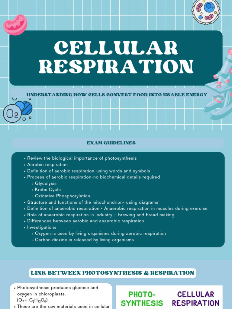 Cellular Respiration Explained | PDF | Cellular Respiration | Adenosine ...