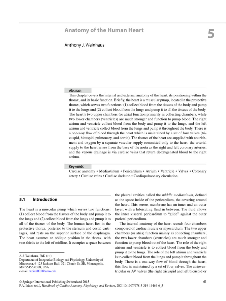 Science - Anatomy of The Human Heart | PDF | Atrium (Heart) | Heart