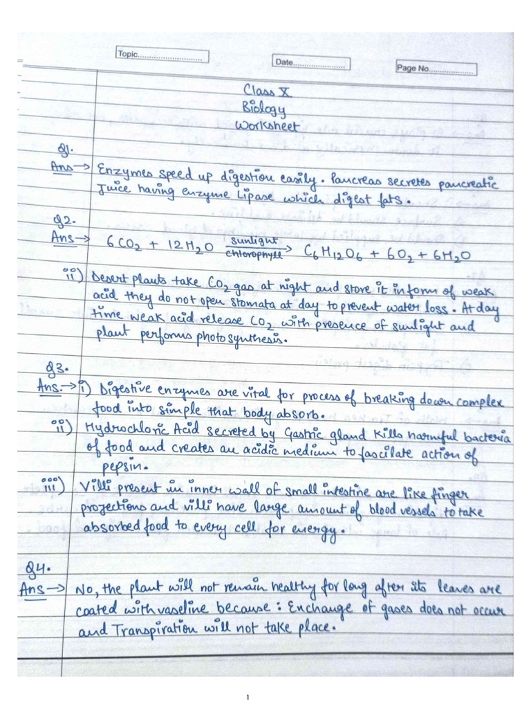 Science Worksheet | PDF
