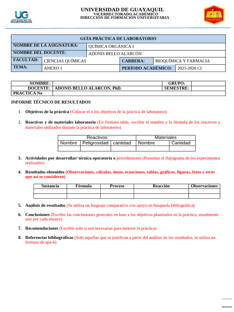 FORMATO INFORME | PDF