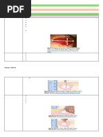 JOBST Measurement Guidelines | PDF | Foot | Ankle