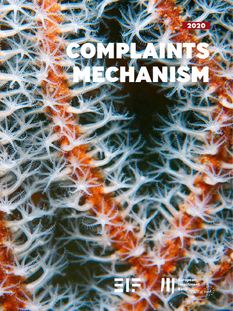 Complaints Mechanism Annual Report 2020 en | PDF | Mediation