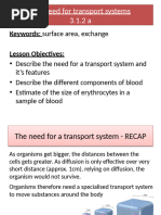 Tissue Fluid Formation in Capillaries | PDF | Lymph | Vein