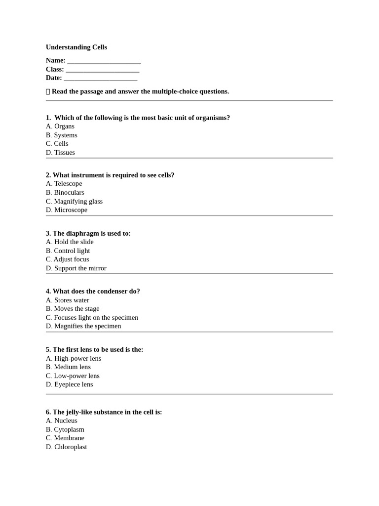 2.1 Understanding Cells (Worksheet) | PDF