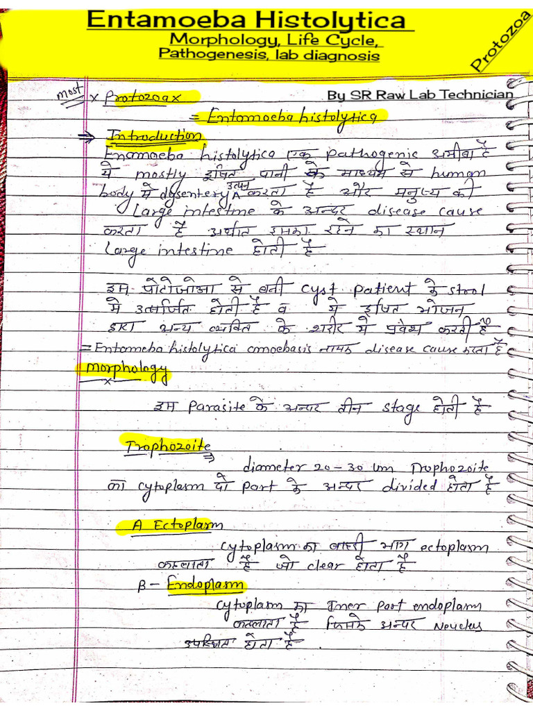 Micro 48 Entamoeba Histolytica Protozoa Basic Information Morphology | PDF