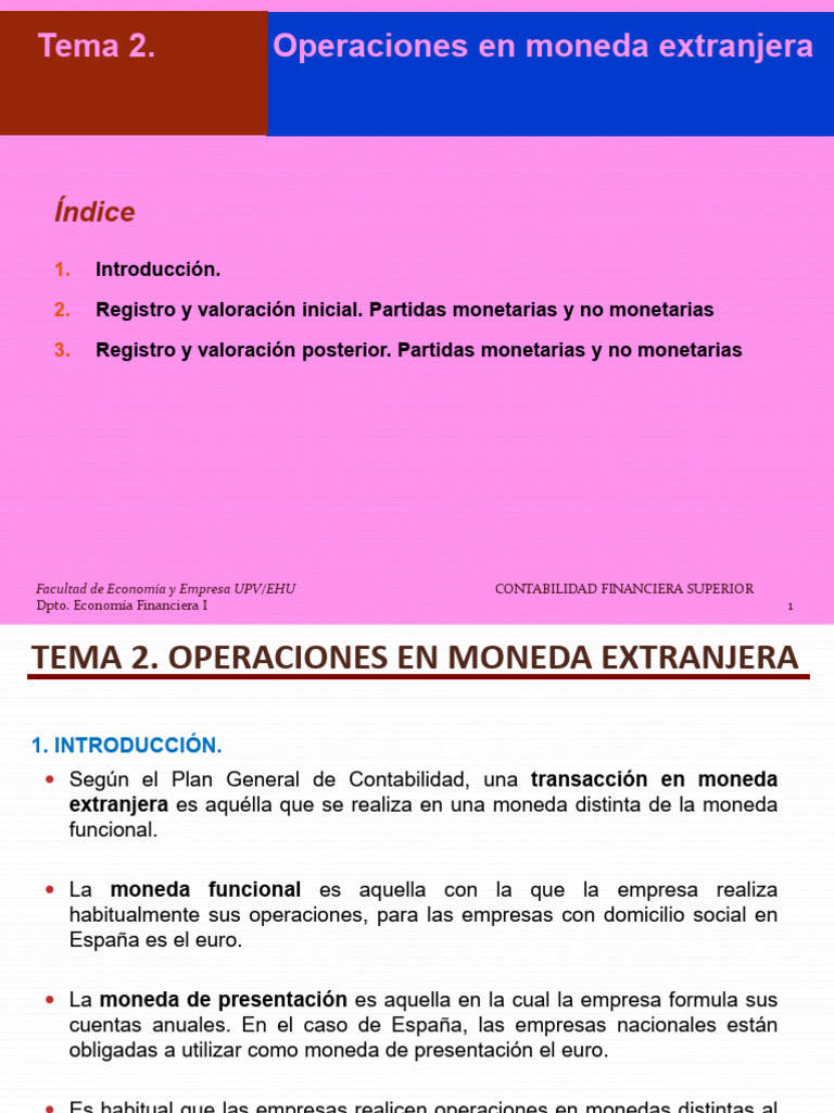 Registro de Operaciones en Moneda Extranjera | PDF | Contabilidad | Moneda