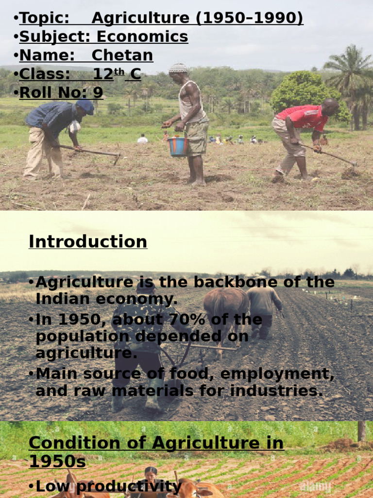 12th Eco Pdf