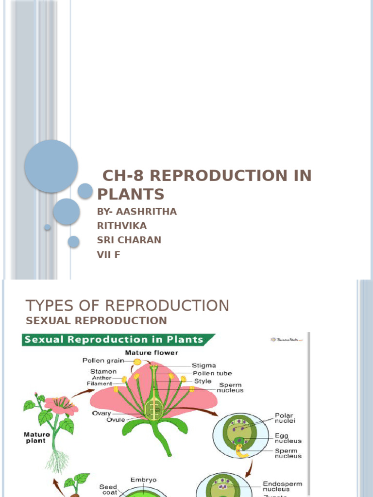 Ch-8 Reproduction in Plants | PDF