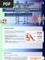 Sarcolema y Sarcoplasma en Músculos | PDF | Músculo esquelético ...
