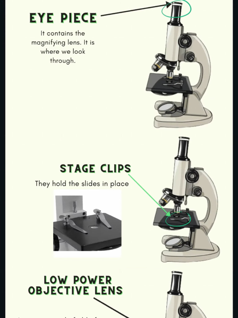 3 - Microscope Parts | PDF