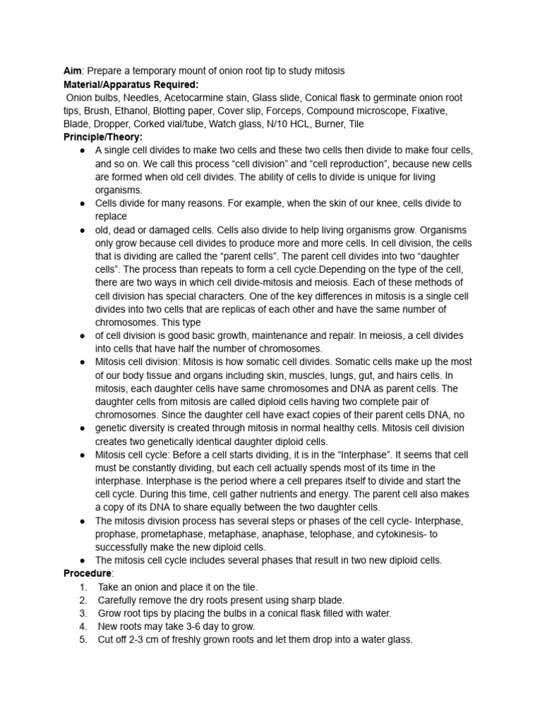 Aim - Prepare A Temporary Mount of Onion Root Tip To Study Mitosis ...
