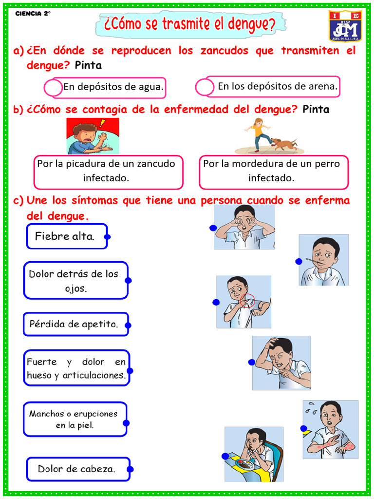 Ficha Ciencia - Cómo Se Transmite El Dengue | PDF