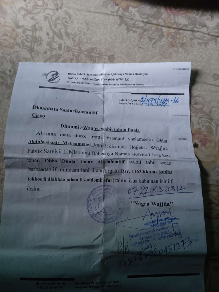 Document WPS Office | PDF