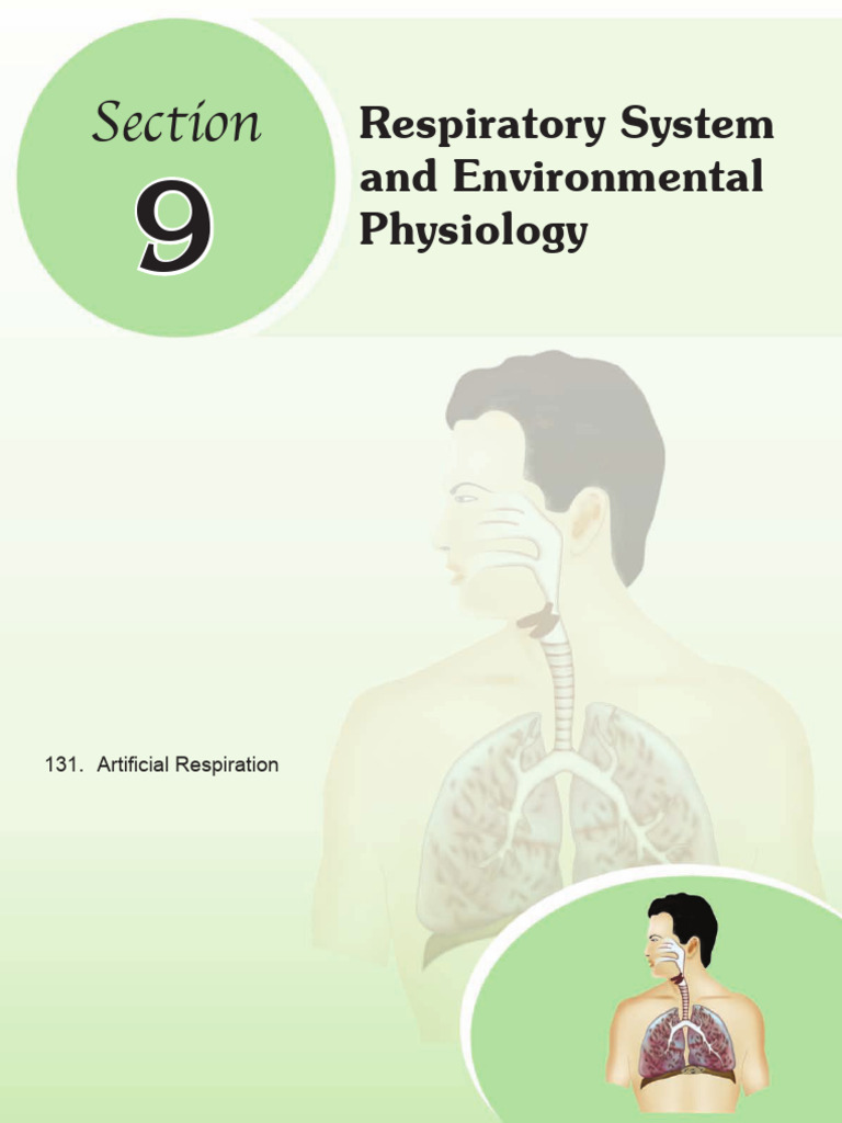 Respiratory Physiology Sb | PDF | Respiratory Tract | Respiratory System