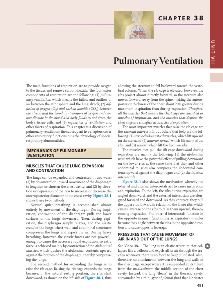 Guyton Respiratory | PDF | Respiratory System | Lung