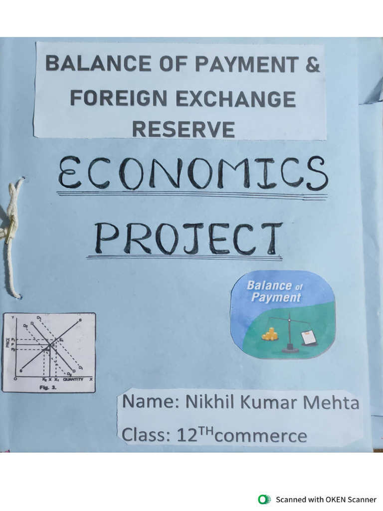 Economics Project Class 12 | PDF