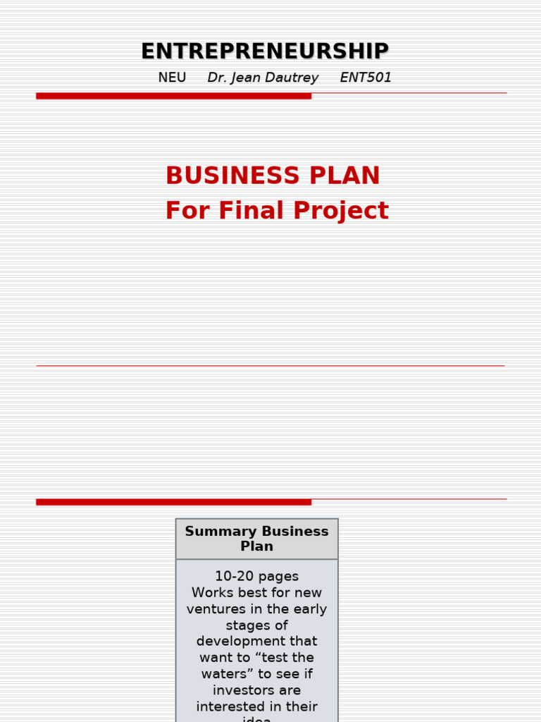 5b Business Plan For FINAL PROJECT July Aug 2024 1 | PDF