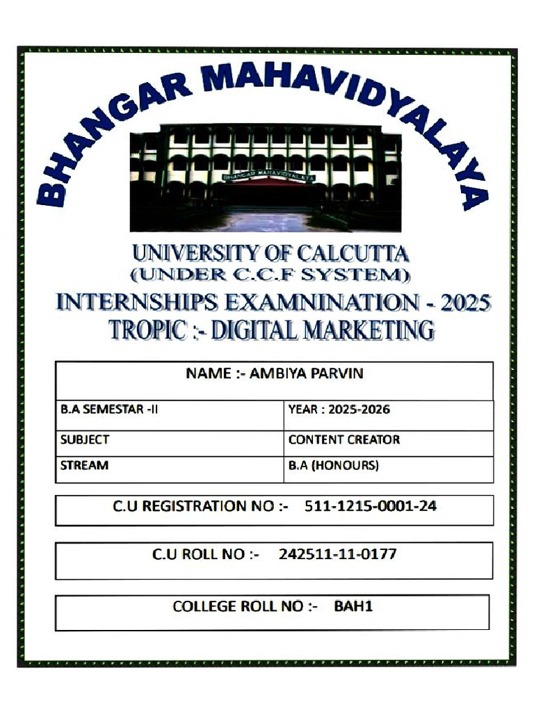 Degital Marketing Project Work. | PDF