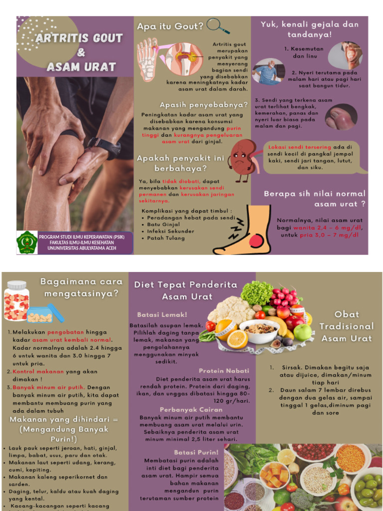 Leaflet Asam Urat | PDF
