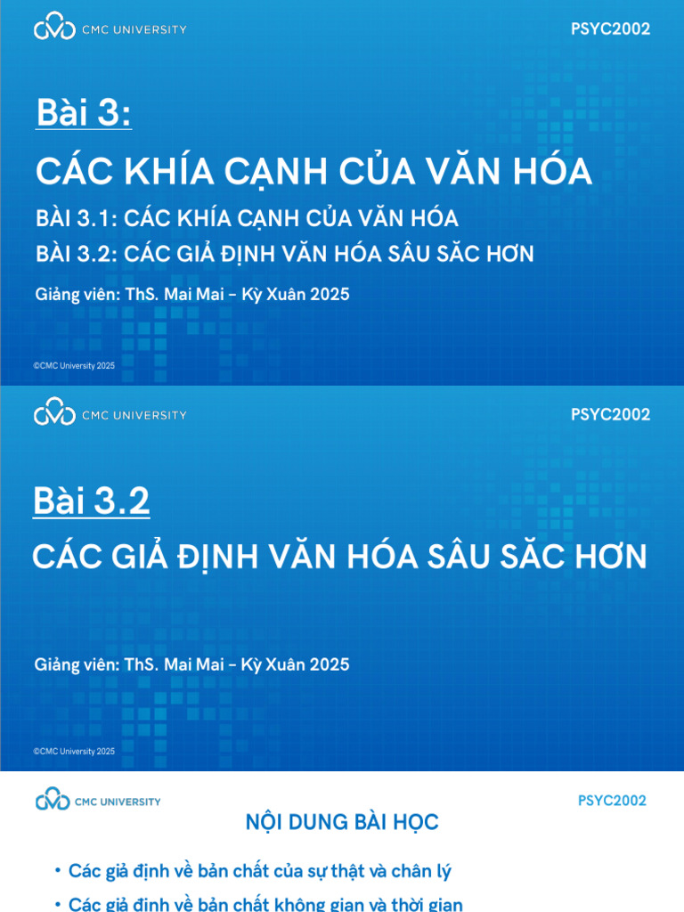 Psyc2002 - vhdn - bài 3.2 - những Giả Định Văn Hóa Sâu Sắc Hơn | PDF