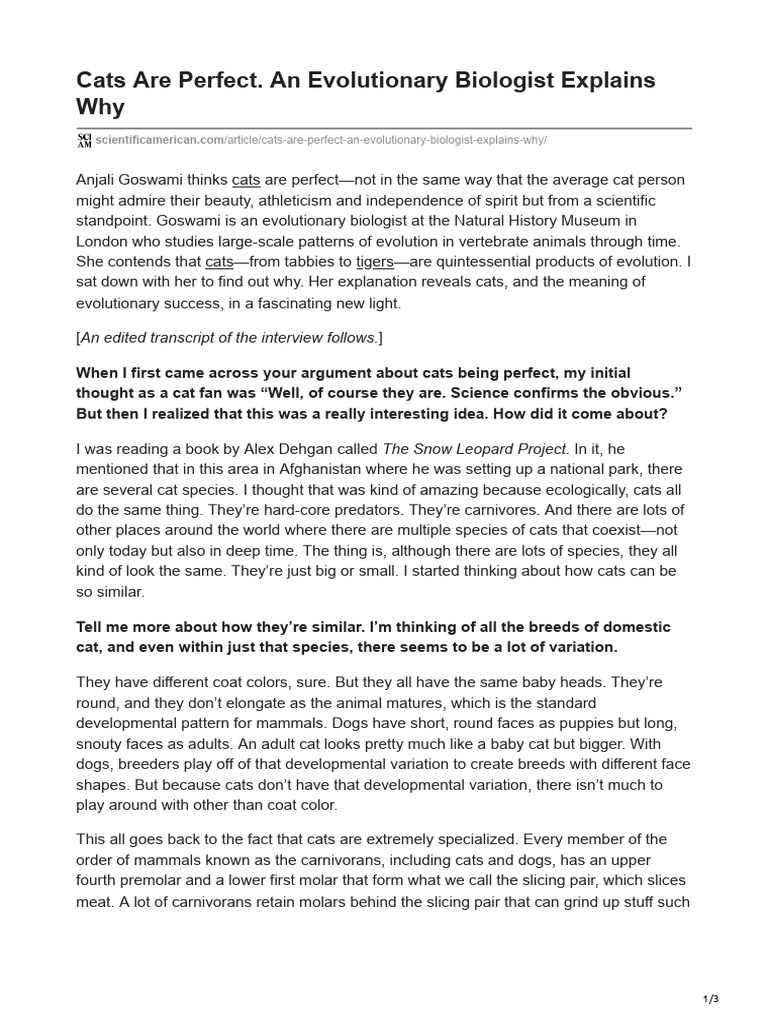 Cats Are Perfect An Evolutionary Biologist Explains Why | PDF | Mammals ...