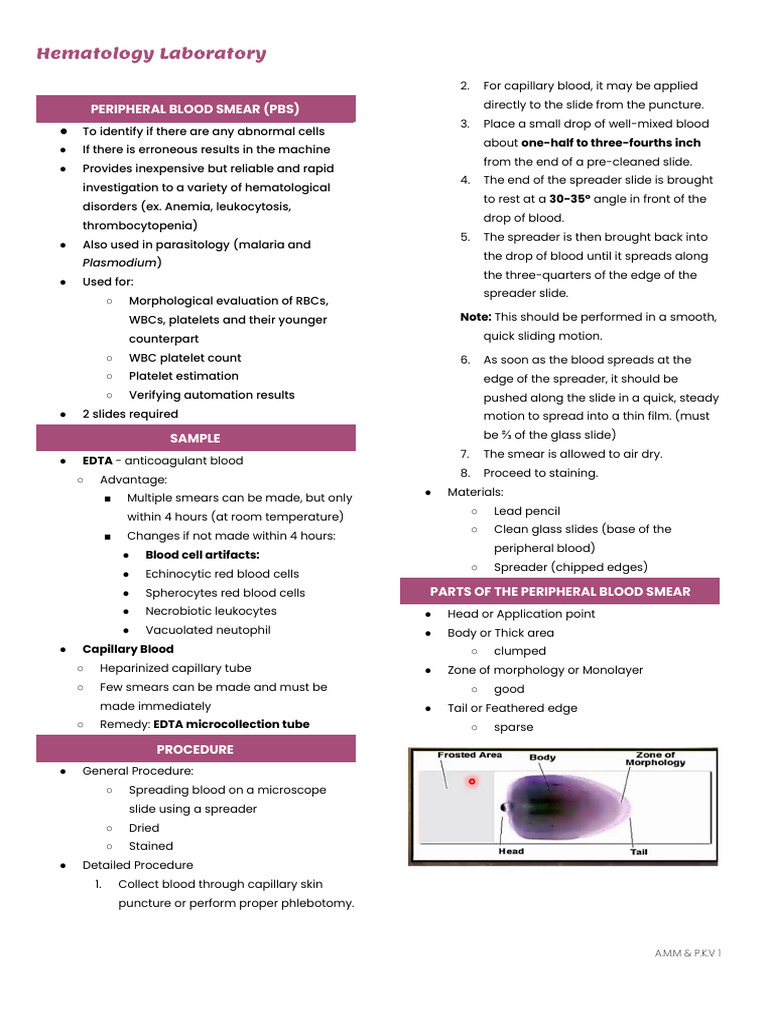 P6 - Peripheral Blood Smear and WBC Cell Identification | PDF | White ...