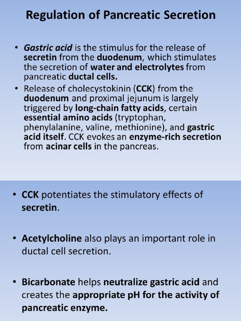 Regulation of Pancreatic Mechanism | PDF