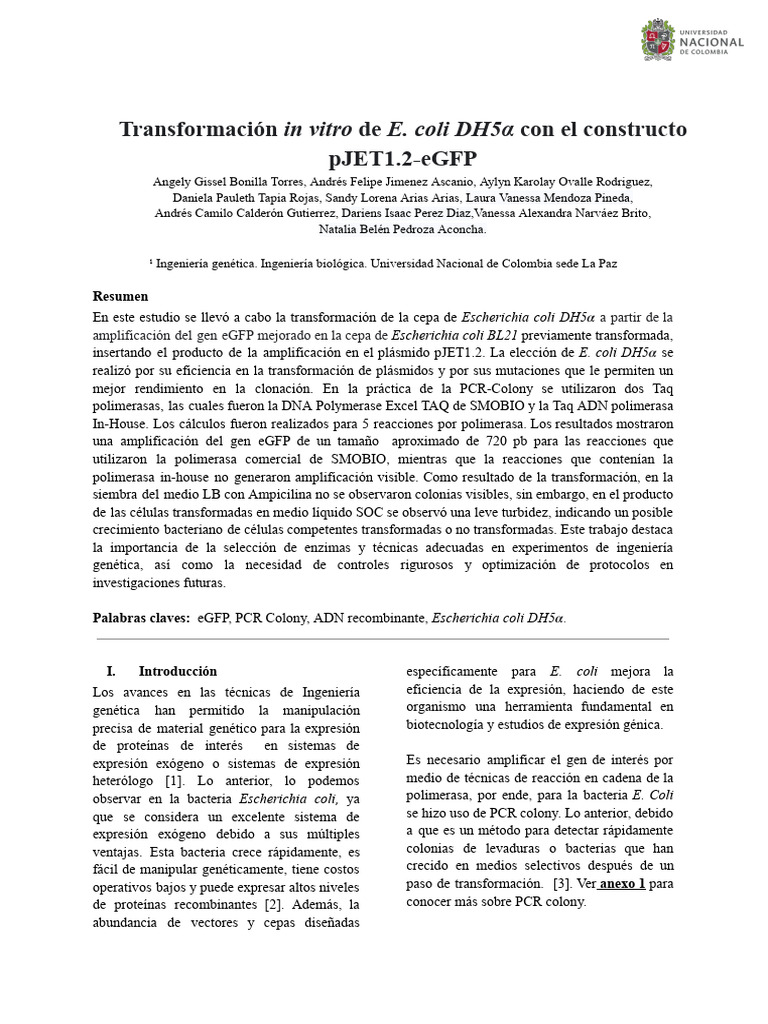 Transformación in vitro de E. coli DH5α con el constructo pJET1.2-eGFP ...