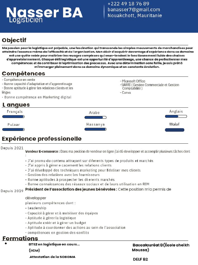 CV Nasser 2025 | PDF