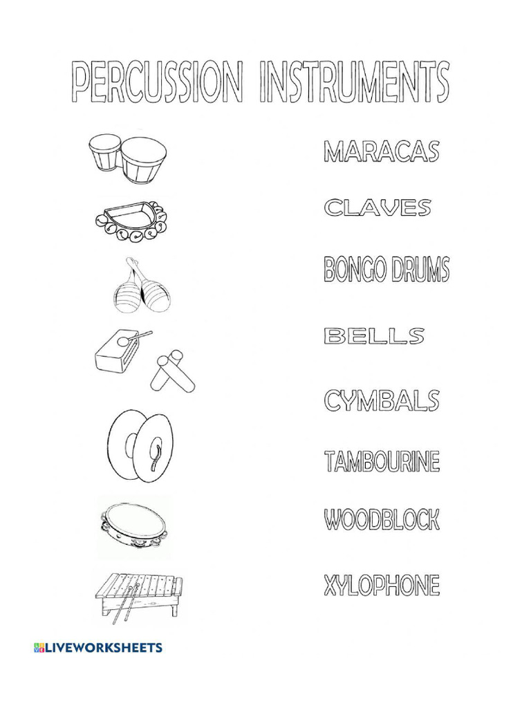 Percussion Instrument | PDF
