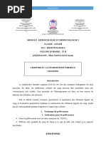 Temps de Céphaline Activée : Guide Complet | PDF | Hématologie ...