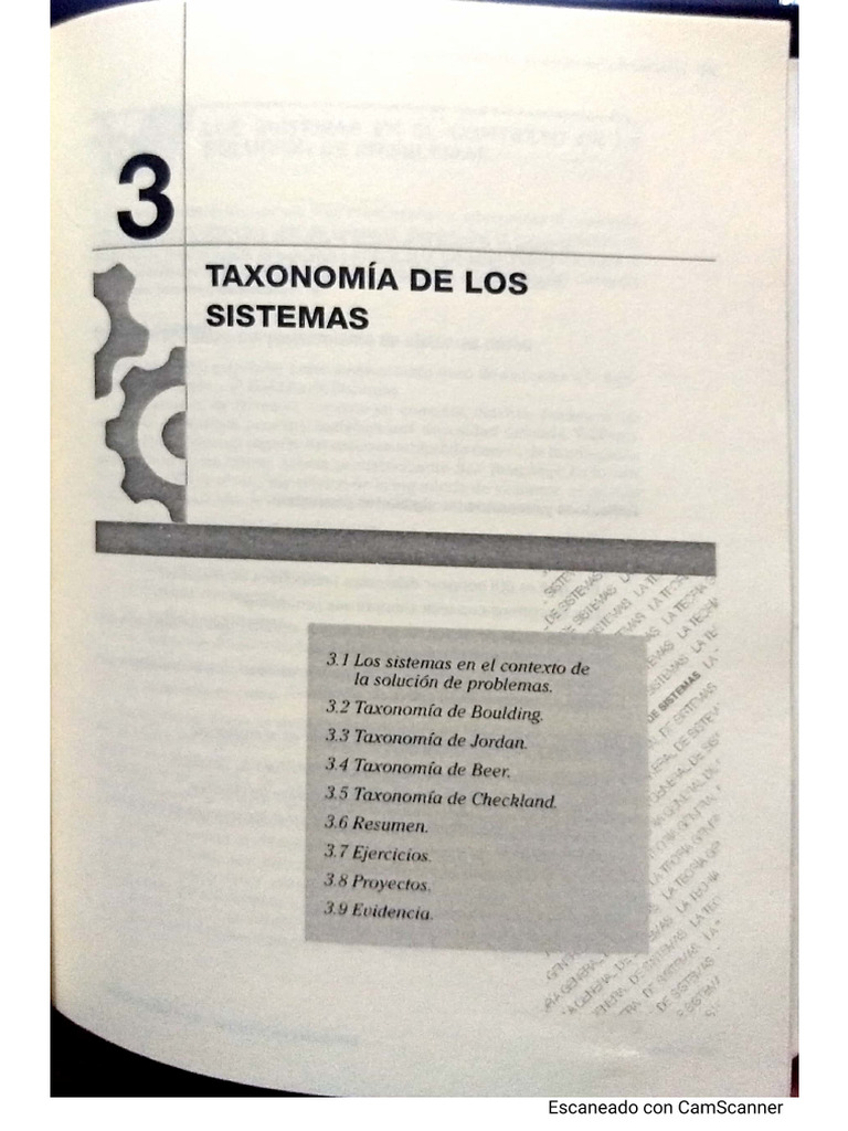 Ingeniería de Sistemas - Jesus Acosta Flores - Cap3 | PDF