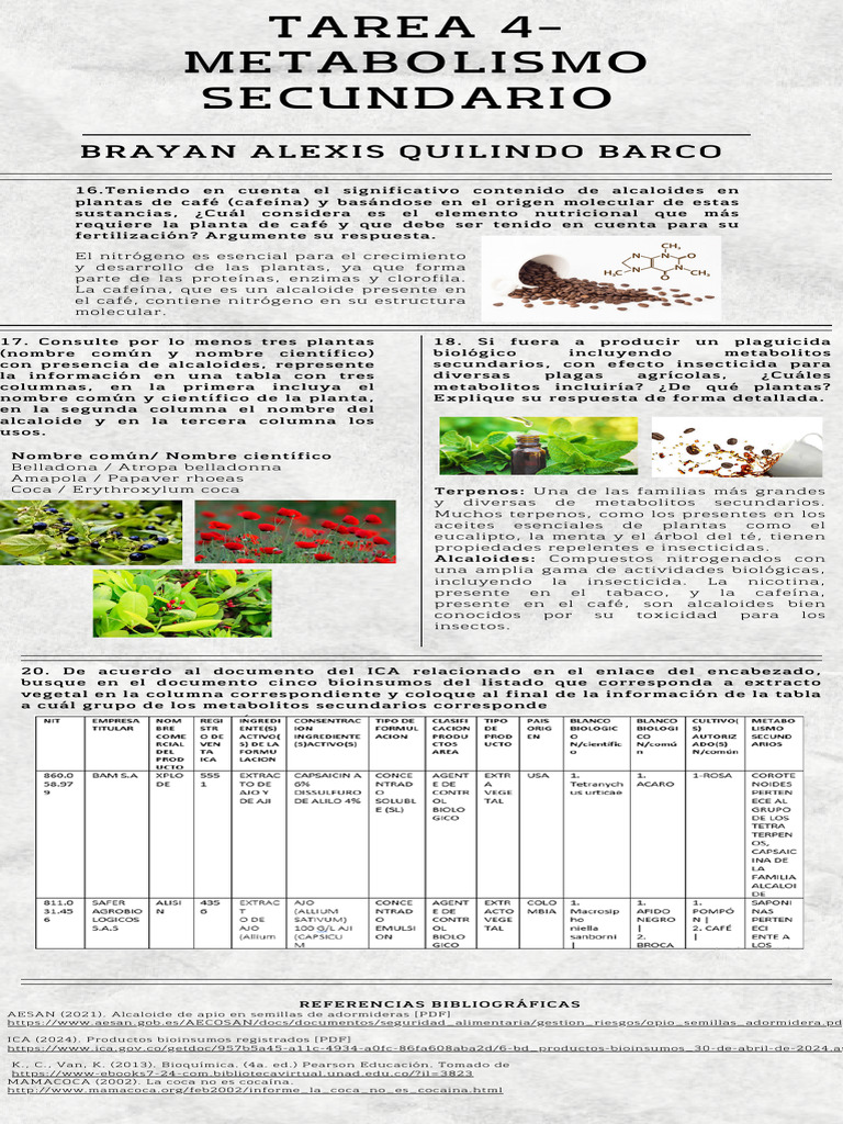 Tarea 4 - Matabolismo Secundario Brayan | PDF | Alcaloide | Plantas