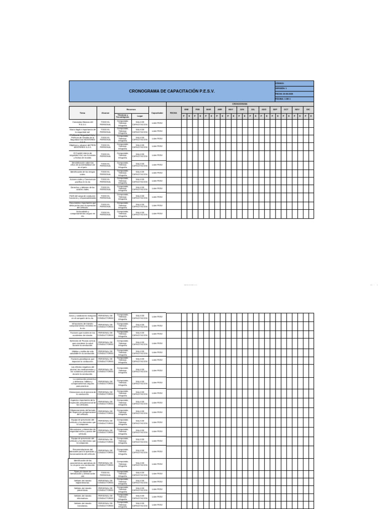 Cronograma de Capacitacion Pesv | PDF