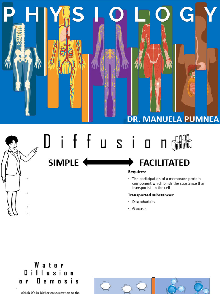 Physiology Osmosis & Cell Excitability& Neuron | PDF | Synapse ...