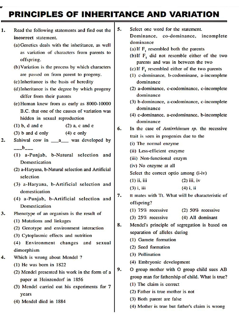 Genetics (Molecular Basis) Test - 2 | PDF