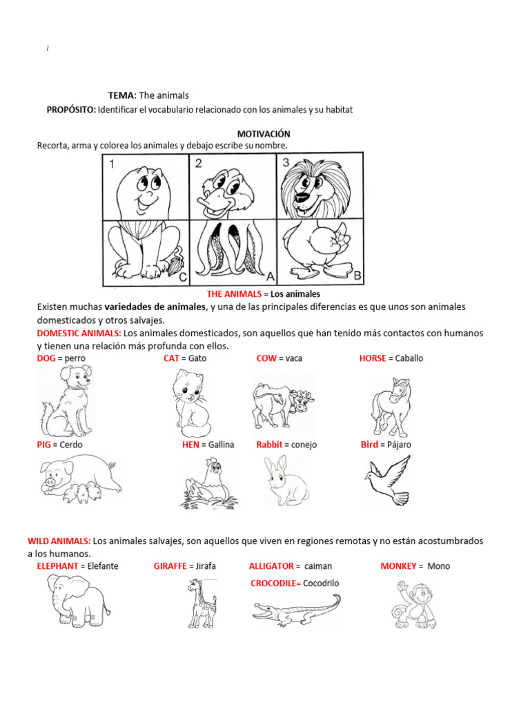 Descripciones Físicas de Los Animales. g4 | PDF | Mamíferos | Biología