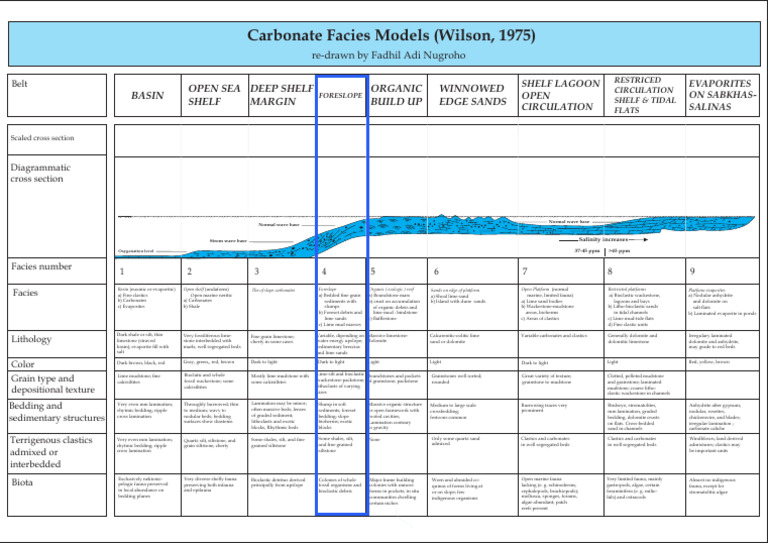 Fasies Karbonat Wilson 1975 Fadhil | PDF | Limestone | Sedimentary Rock
